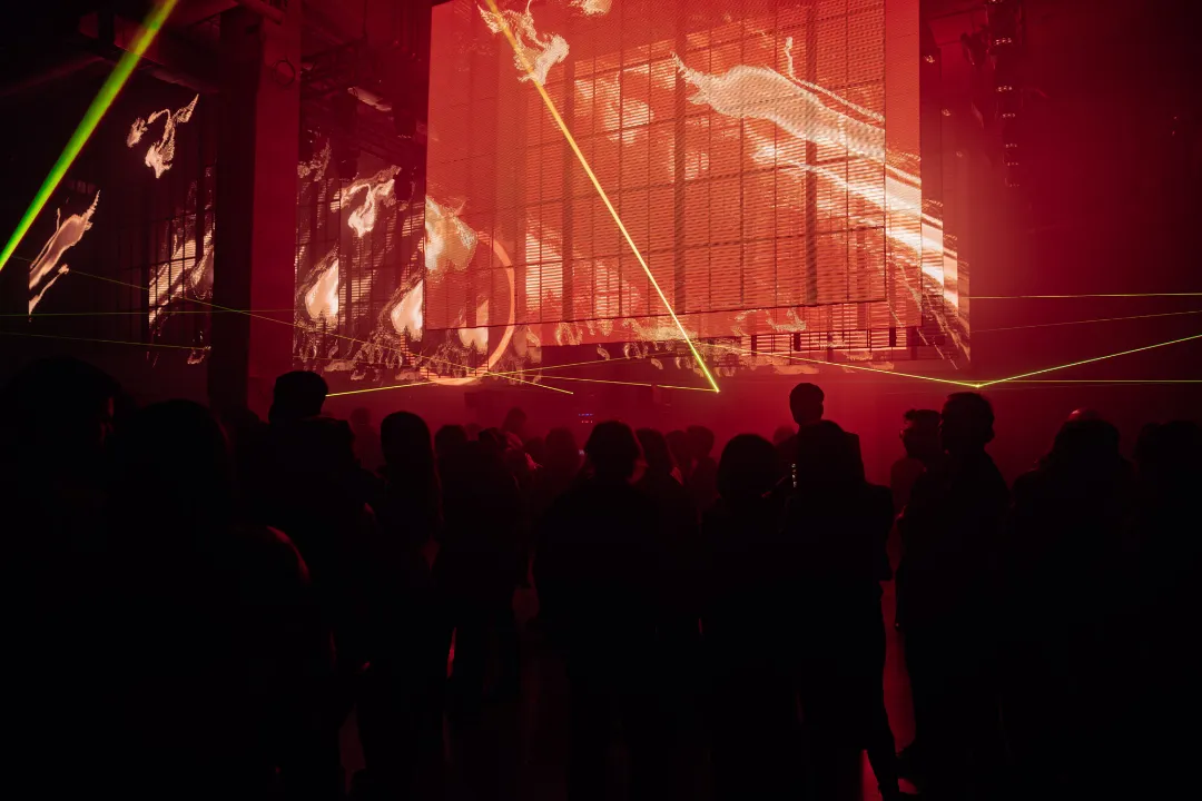 DJ Night — DJ Python | Eventrill